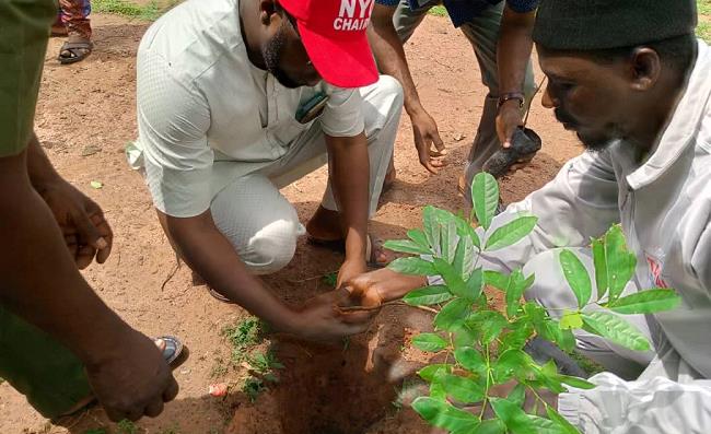 Nasarawa youths plant 1,000 trees to conserve environment - EnviroNews ...