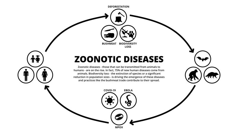 World Zoonoses Day: What zoonotic diseases are and how they spread ...