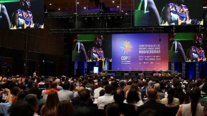 Cop16 Fails To Mention Fossil Fuels Misses Opportunity To Tackle